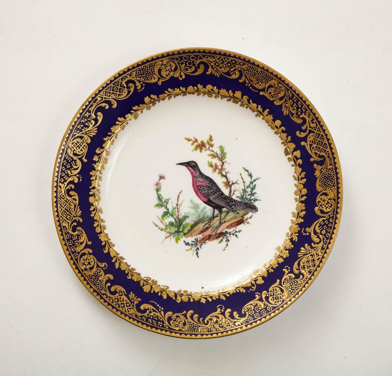 Set 10 18th C. French Sevres Dark Blue Ground, Impasto Gilded Bird ...