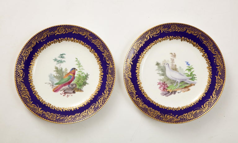 Set 10 18th C. French Sevres Dark Blue Ground, Impasto Gilded Bird ...