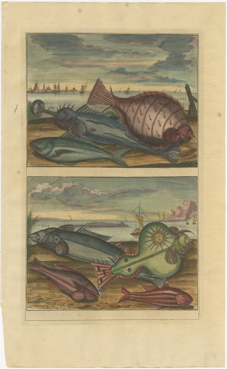 Set of 12 Colored Antique Prints of various Fish species and other ...
