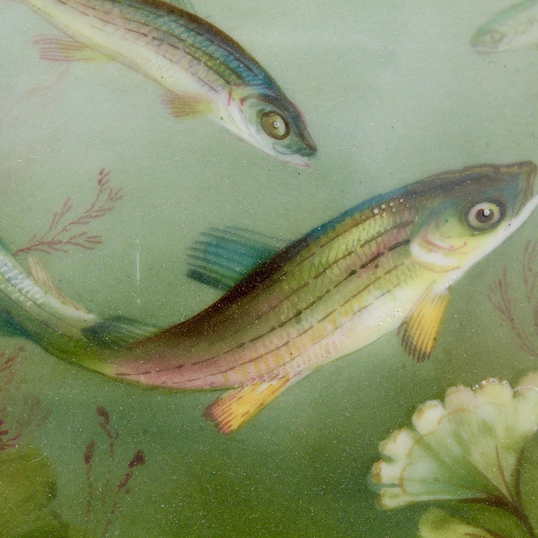 Set of 12 George Jones Hand Painted Fish Plates with Gilt Scalloped ...
