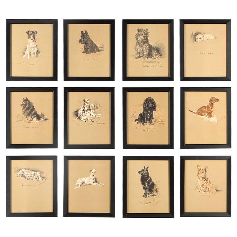 Set of 12 Lucy Dawson Dogs at 1stDibs