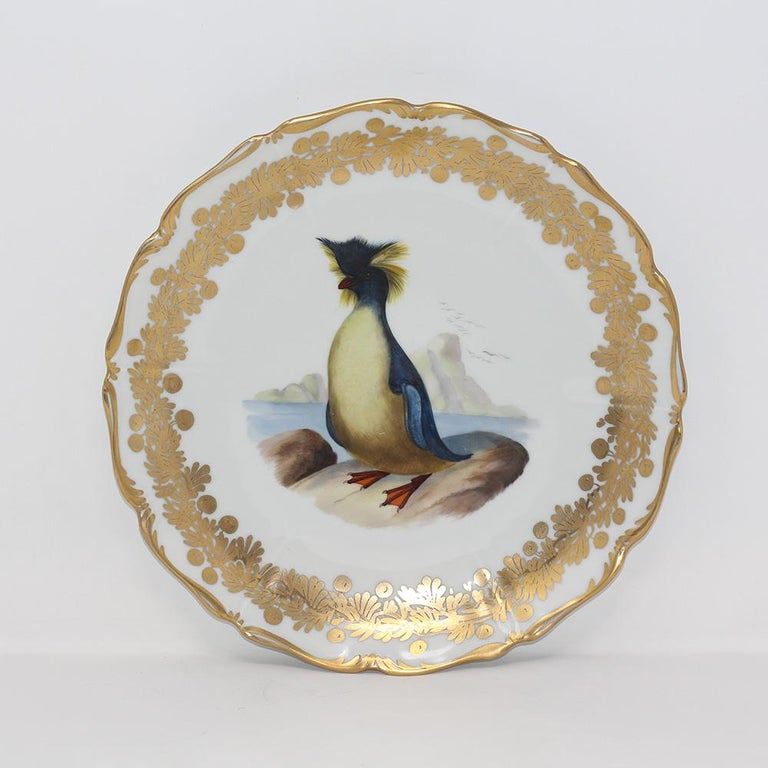 Set of 12 Porcelain Bird Plates 'Vienna' For Sale at 1stDibs