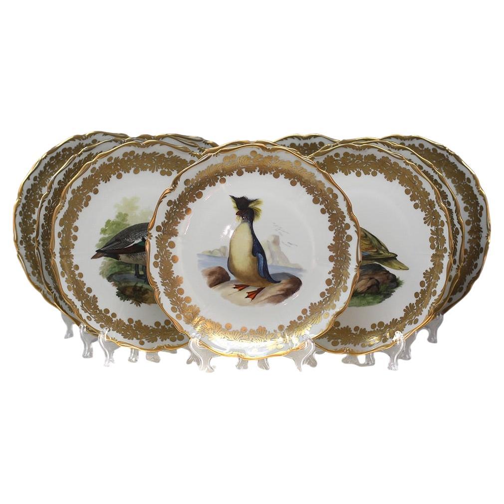 Set of Seven French Bird Plates at 1stDibs