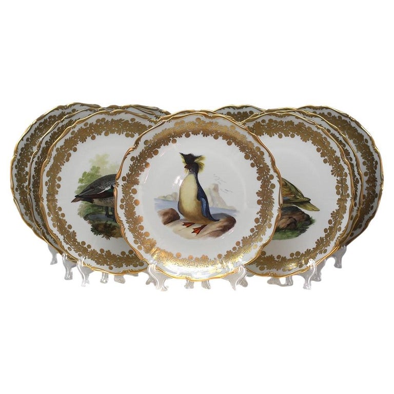Set of 12 Porcelain Bird Plates 'Vienna' For Sale at 1stDibs