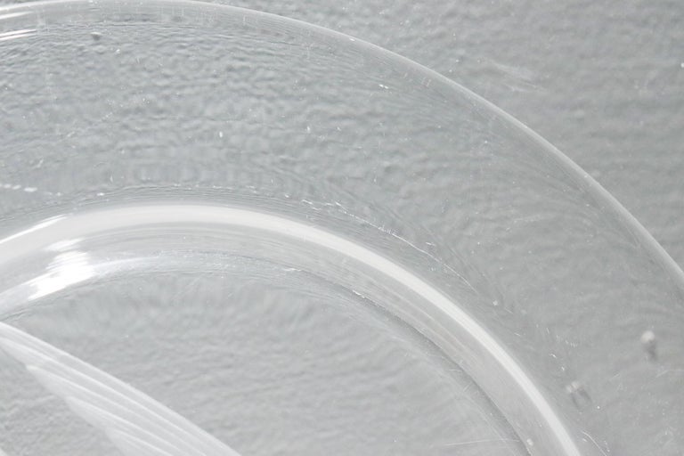 Set of 12 Steuben Wheel Engraved Crystal or Glass Audubon Plates by ...