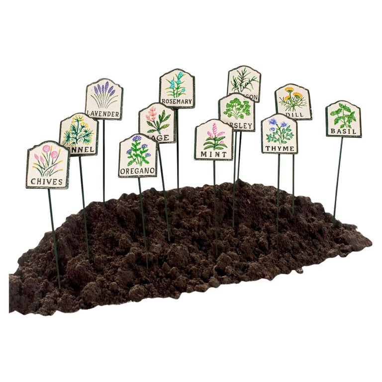 Set of 12 Vintage Herb Labels, English, Garden, Planter, Horticultural ...