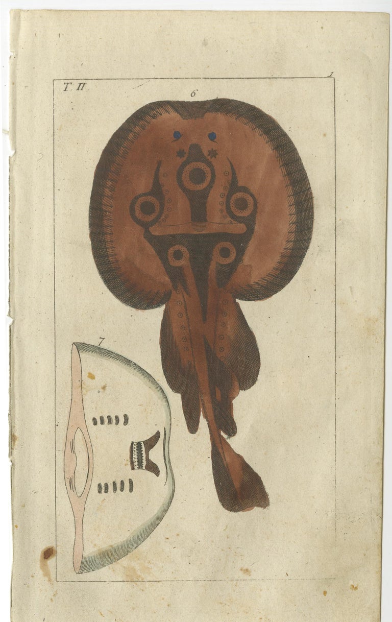 Set of 2 Antique Fish Prints, Common Torpedo Ray, Skate, Stingray For ...