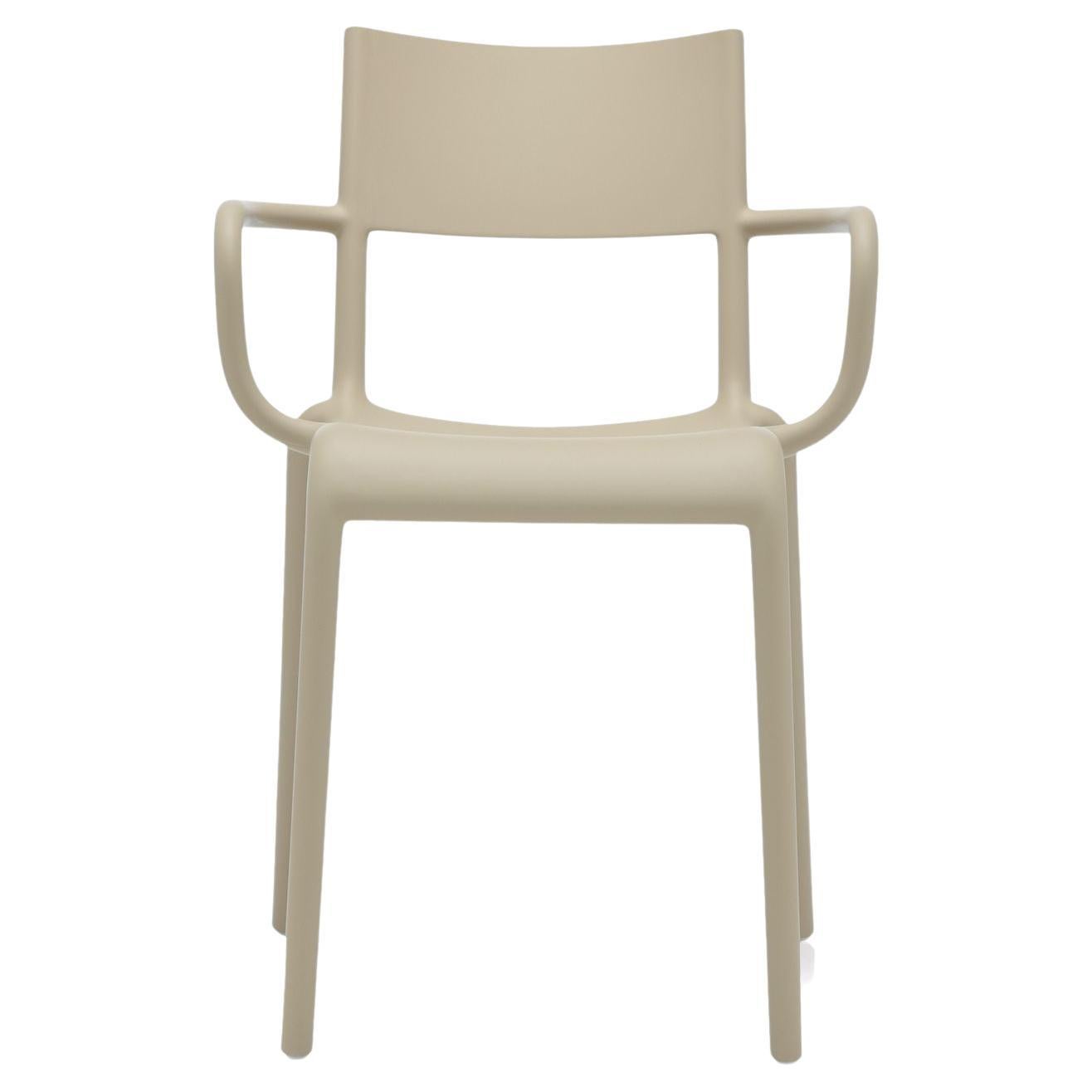 Set of 2 Kartell Generic C Chairs in Dove Grey by Philippe Starck For ...