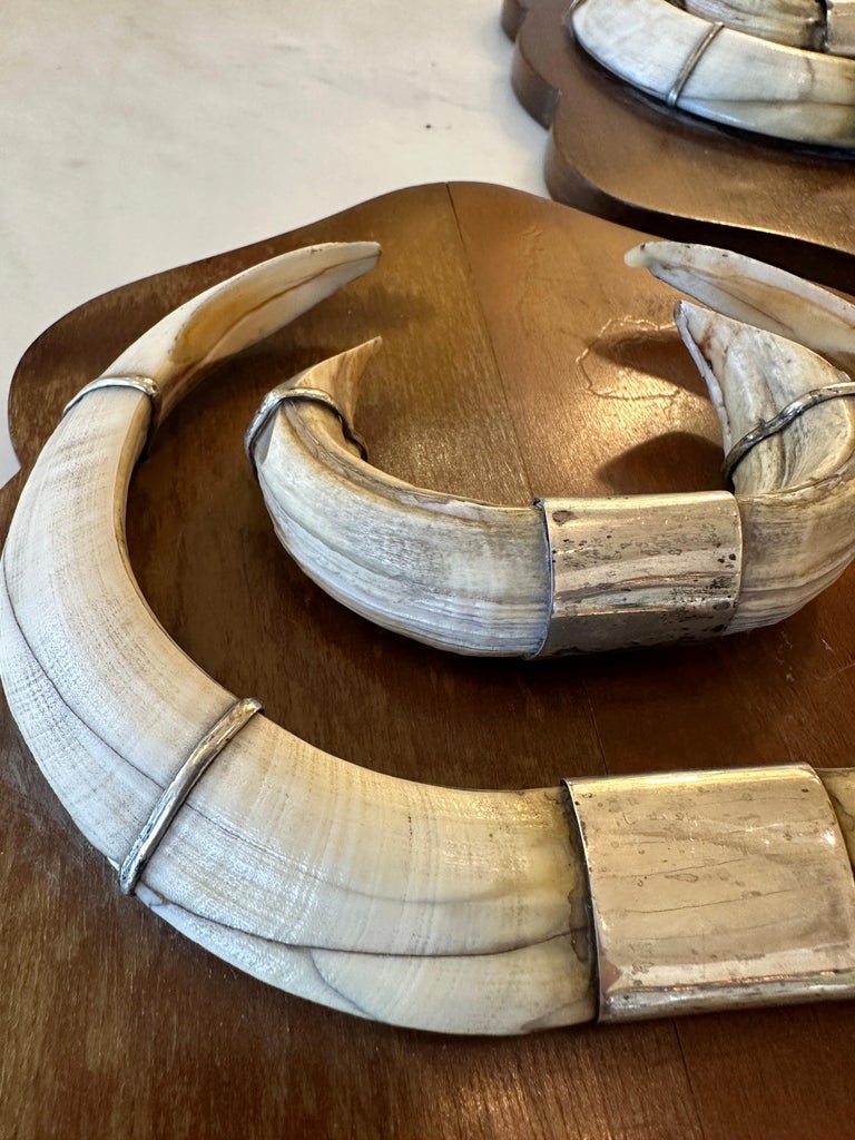 Set of 3 - 1940's Mounted Wild Boar Tusk Trophies, Spain For Sale at ...