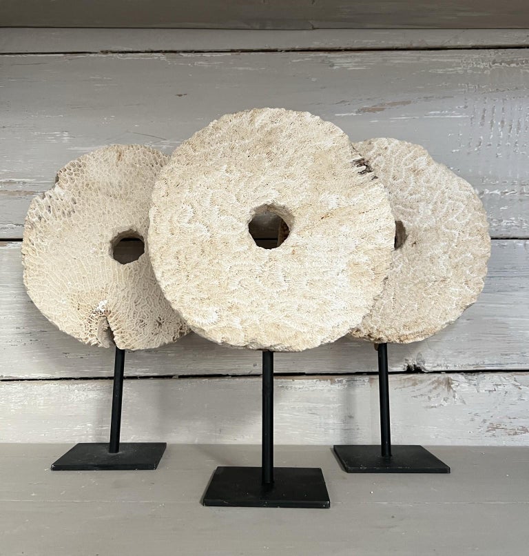 Set of 3 Fossilized Coral Stone Discs For Sale at 1stDibs