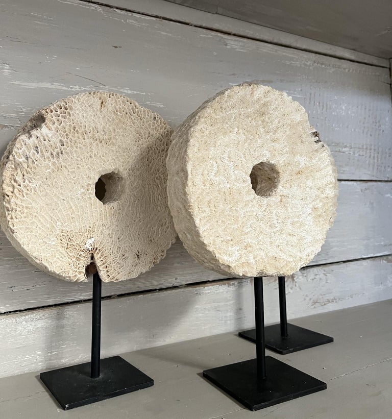 Set of 3 Fossilized Coral Stone Discs For Sale at 1stDibs