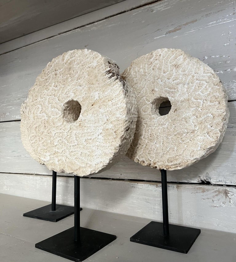 Set of 3 Fossilized Coral Stone Discs For Sale at 1stDibs