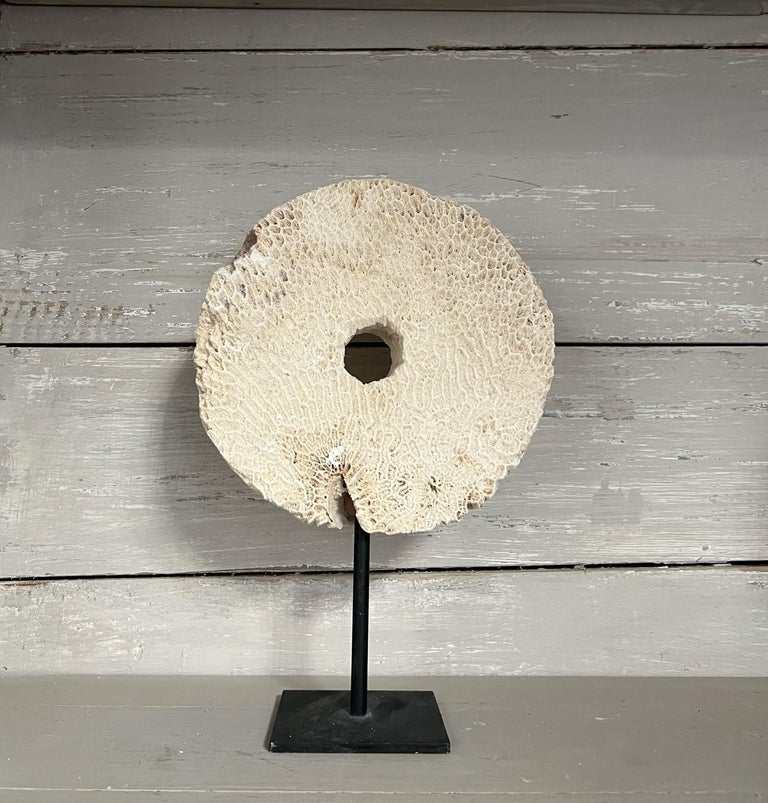 Set of 3 Fossilized Coral Stone Discs For Sale at 1stDibs