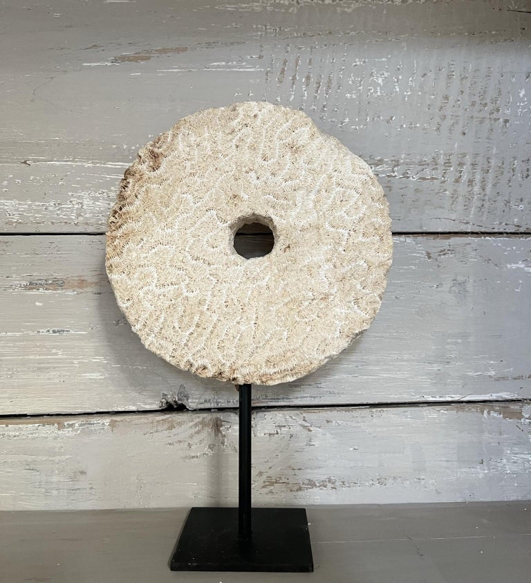 Set of 3 Fossilized Coral Stone Discs For Sale at 1stDibs