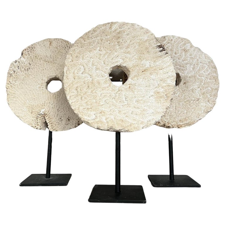 Set of 3 Fossilized Coral Stone Discs For Sale at 1stDibs
