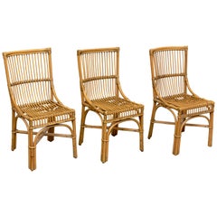 Pair of Bentwood and Rattan Hofman Black Chairs, circa 1900 For Sale at ...