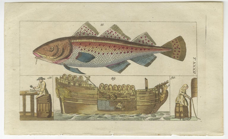 Set of 4 Antique Fish Prints - Beluga Sturgeon - Pollock - Atlantic Cod ...