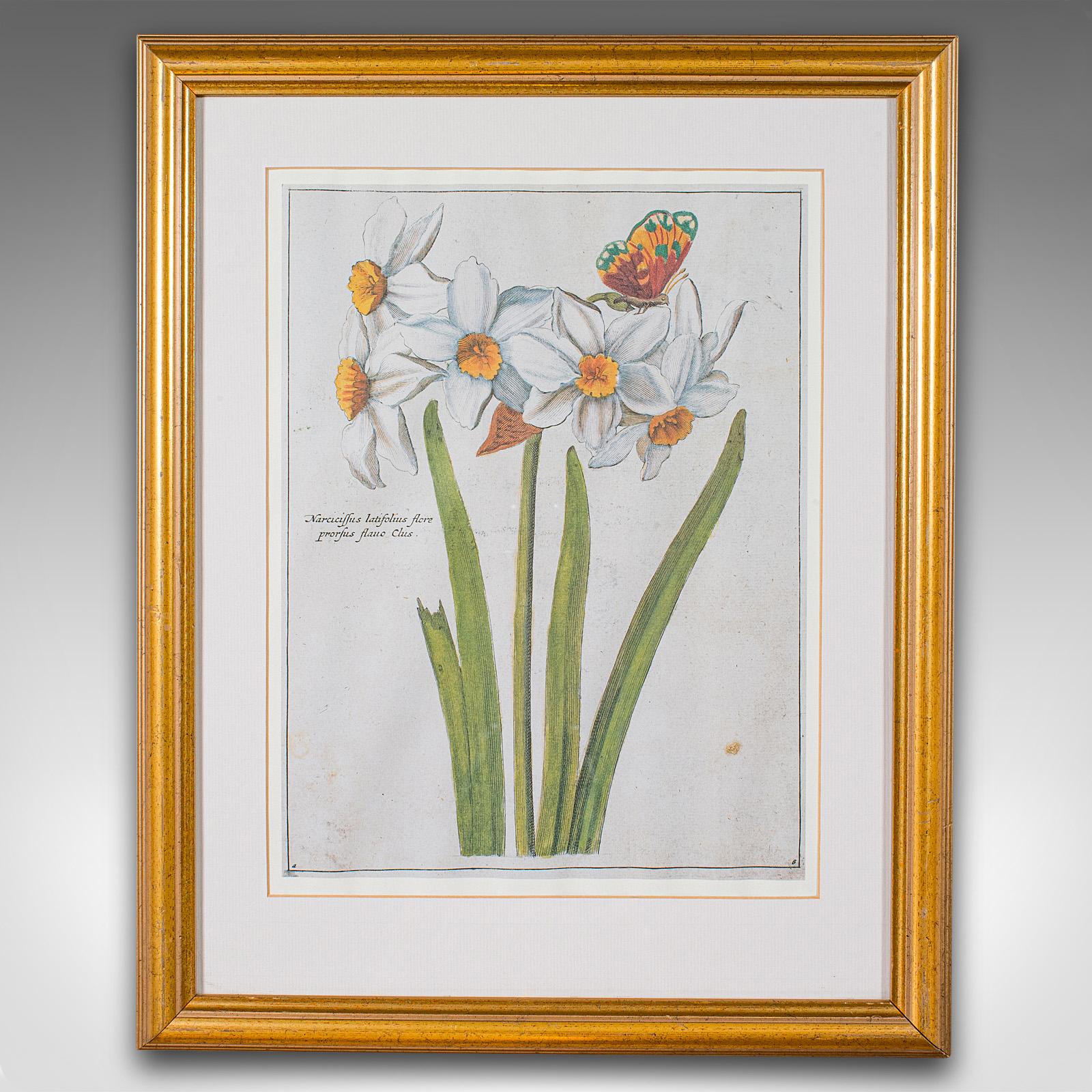 Set Of 4 Vintage Botanical Prints, English, Framed Engravings, Flower ...