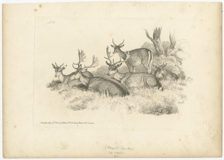 Set of 5 Antique Prints of various Deer by Howitt 'c.1820' at 1stDibs