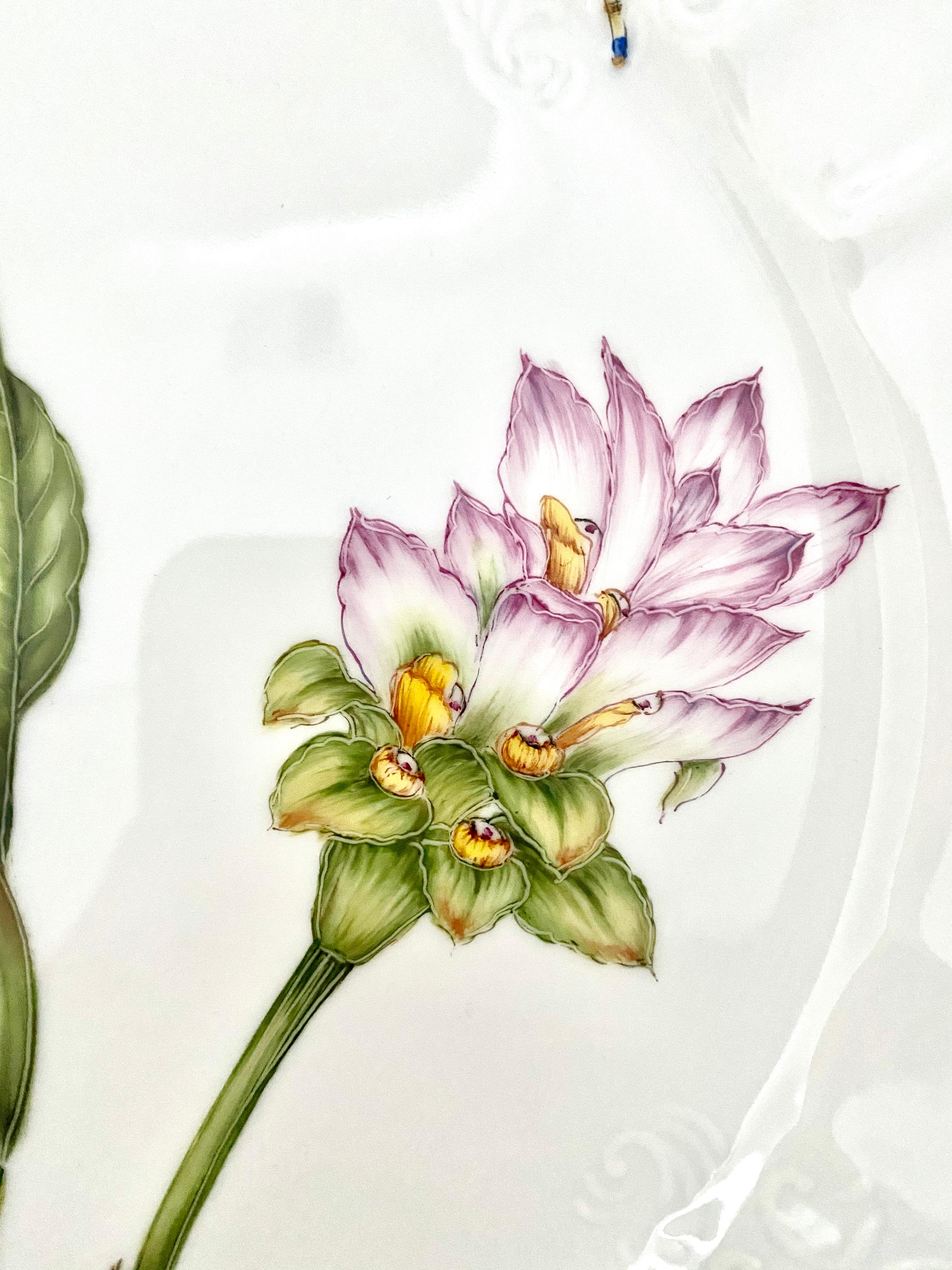 Set of 6 Anna Weatherley Hand Painted Porcelain Dinner Plates at ...