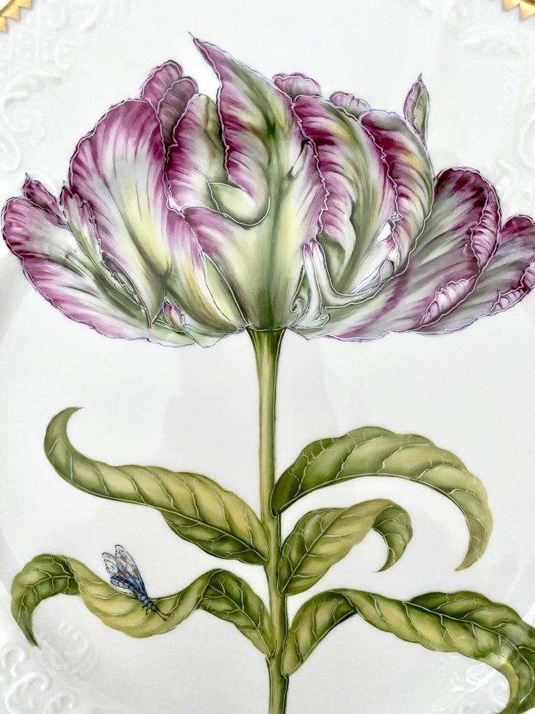 Set of 6 Anna Weatherley Hand Painted Porcelain Dinner Plates at 1stDibs