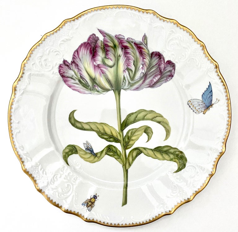Set of 6 Anna Weatherley Hand Painted Porcelain Dinner Plates at ...
