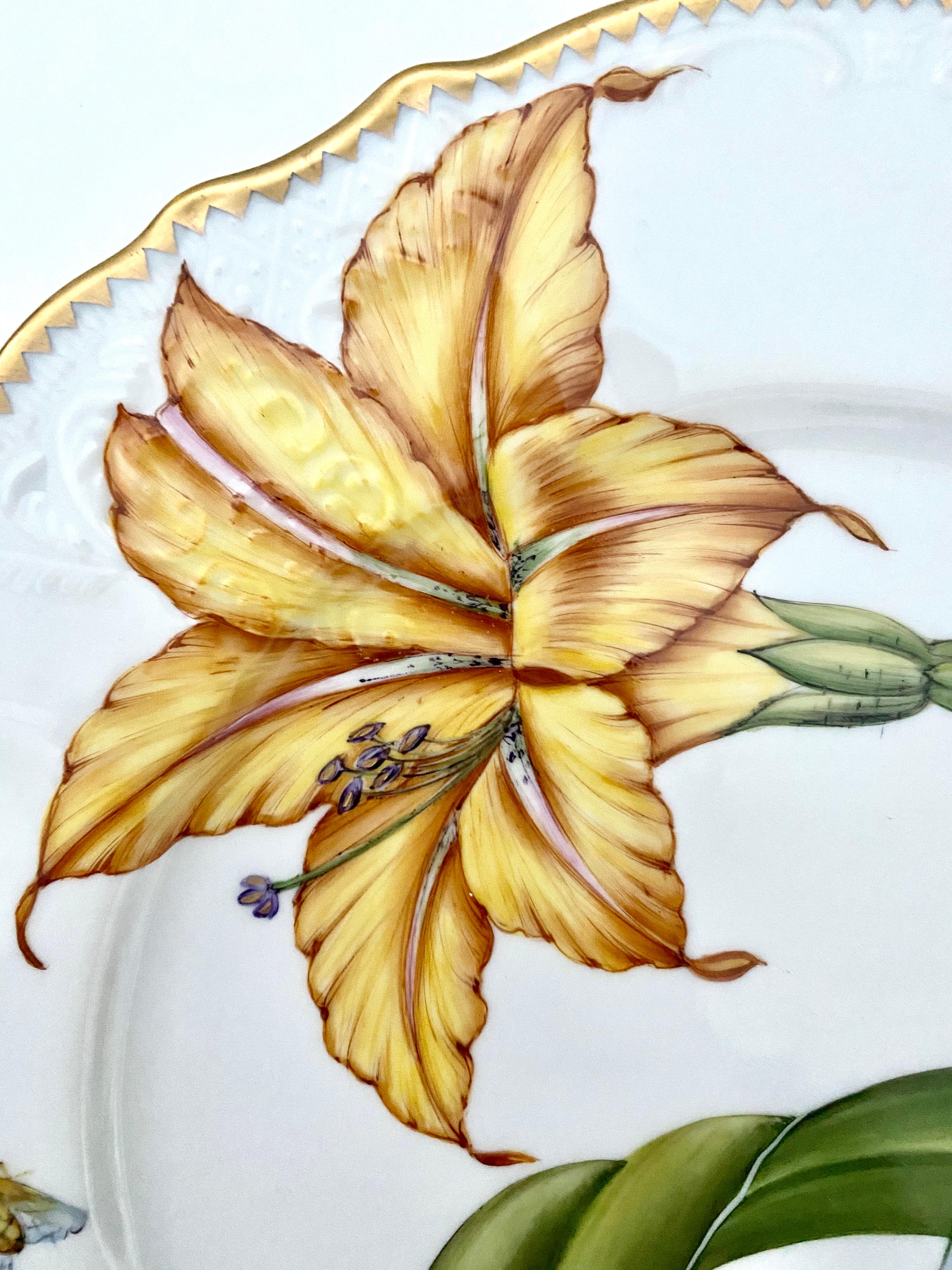 Set of 6 Anna Weatherley Hand Painted Porcelain Dinner Plates at ...
