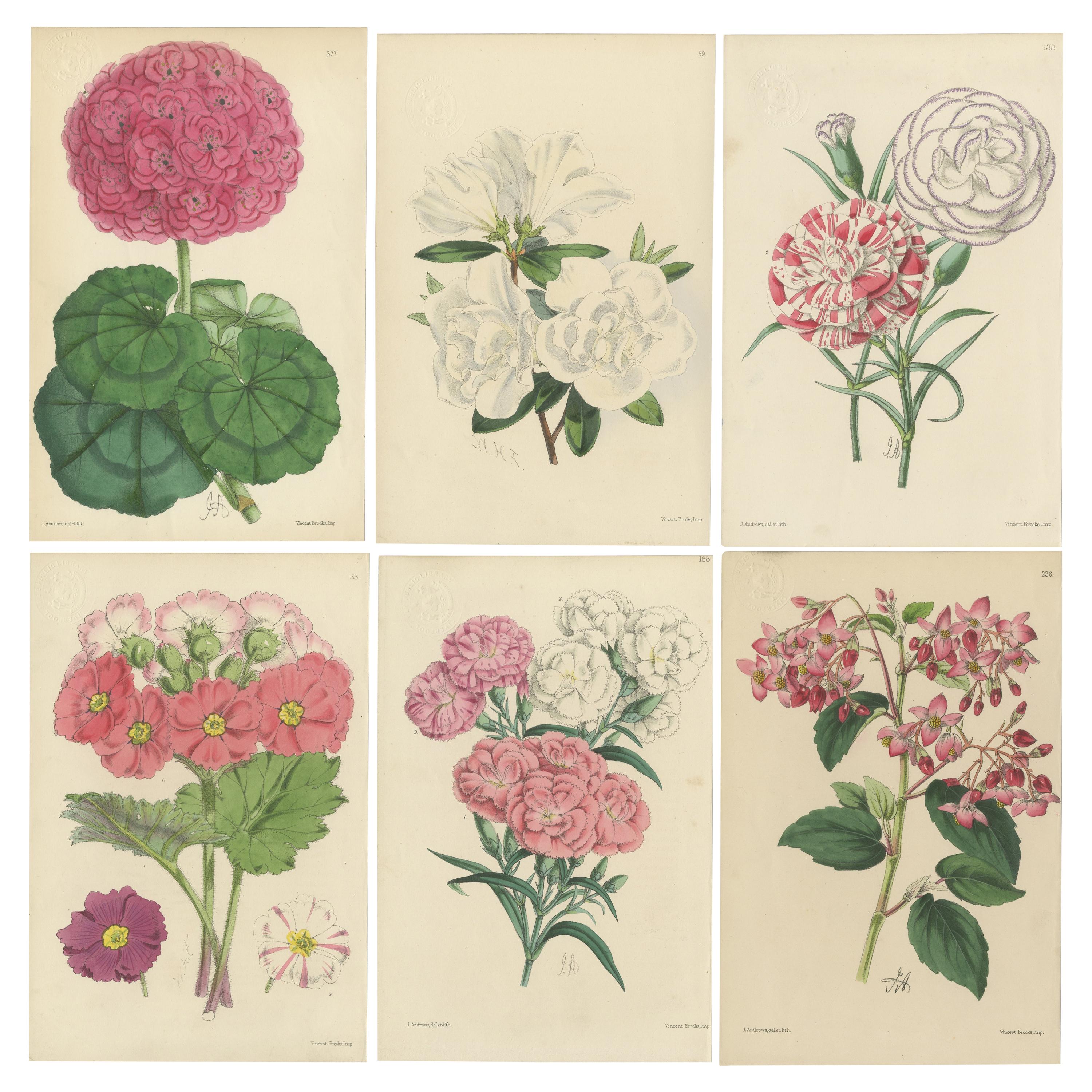 French Hand Tinted Print "L'autonne" by N. Tardieu After Lancret, circa ...