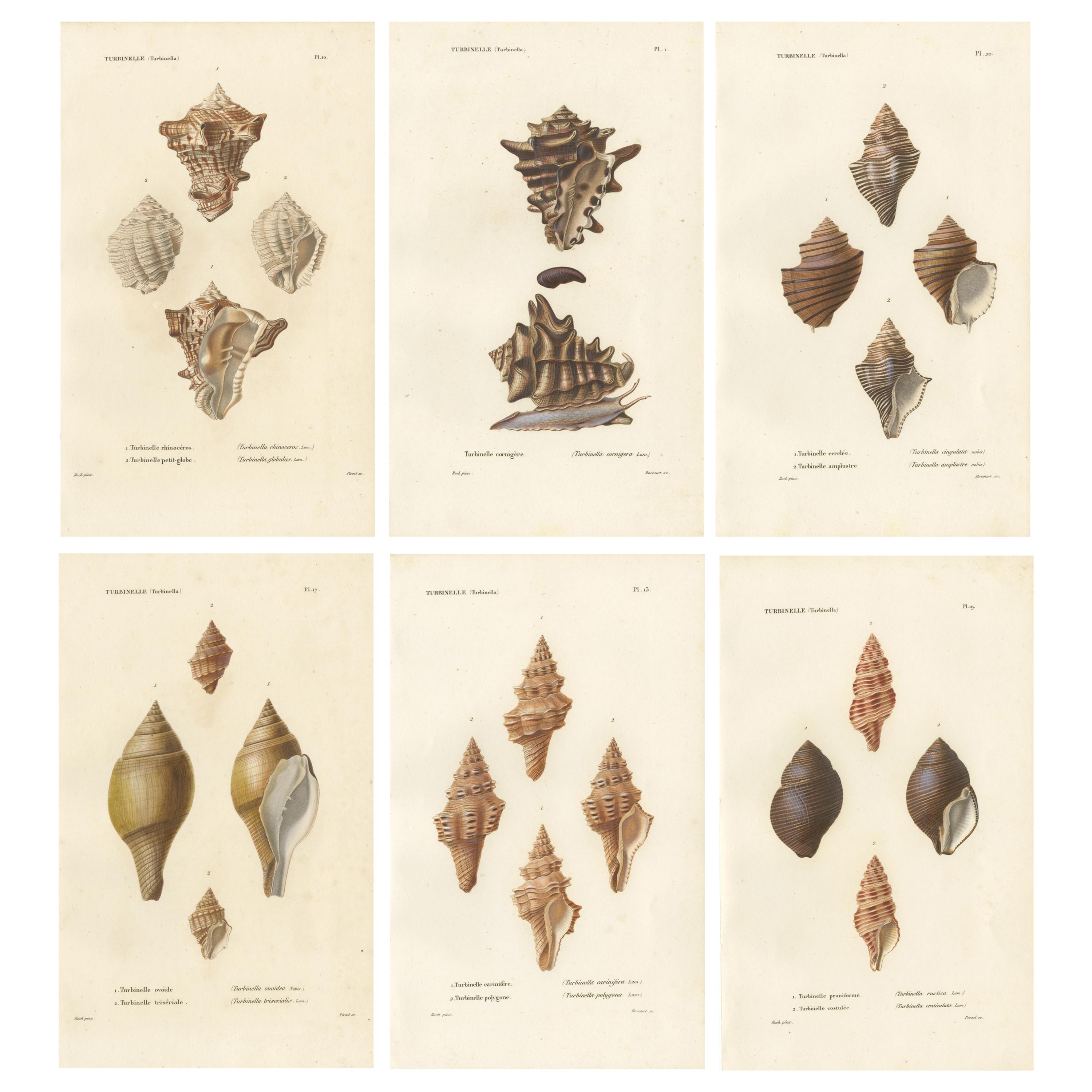 Set Of 18 Antique Prints Of English Country Houses And Gardens Circa set-of-18-antique-prints-of-english-country-houses-and-gardens-circa