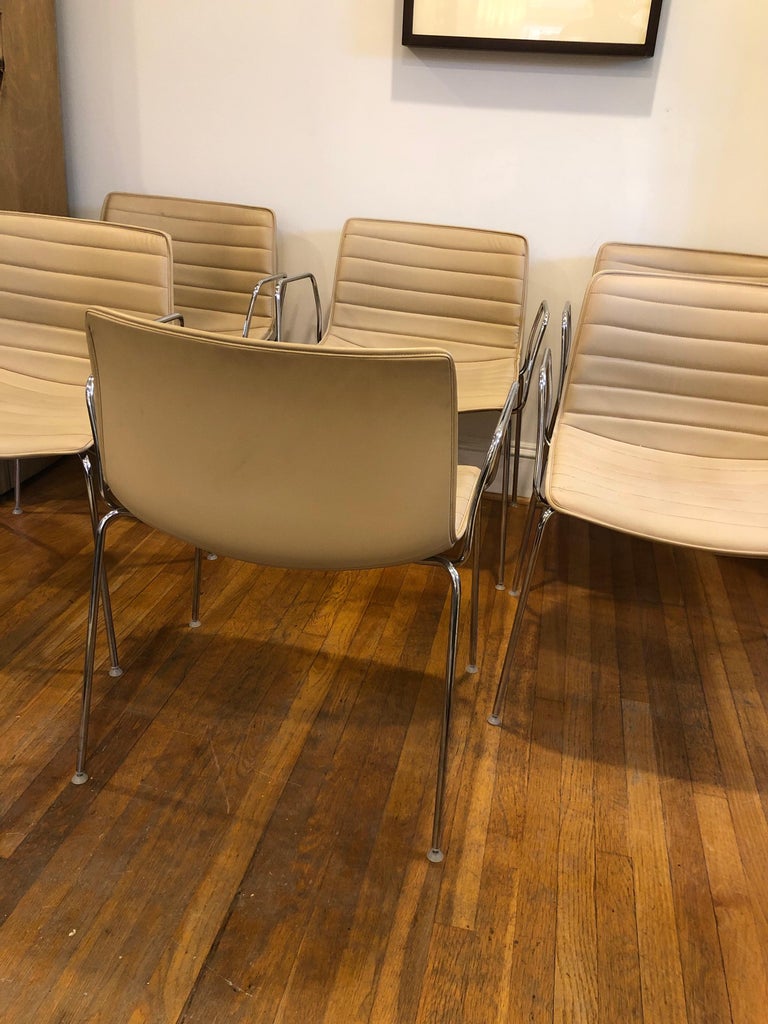 Set of 6 Catifa 53 Contemporary Leather Chairs by Lievore Altherr ...