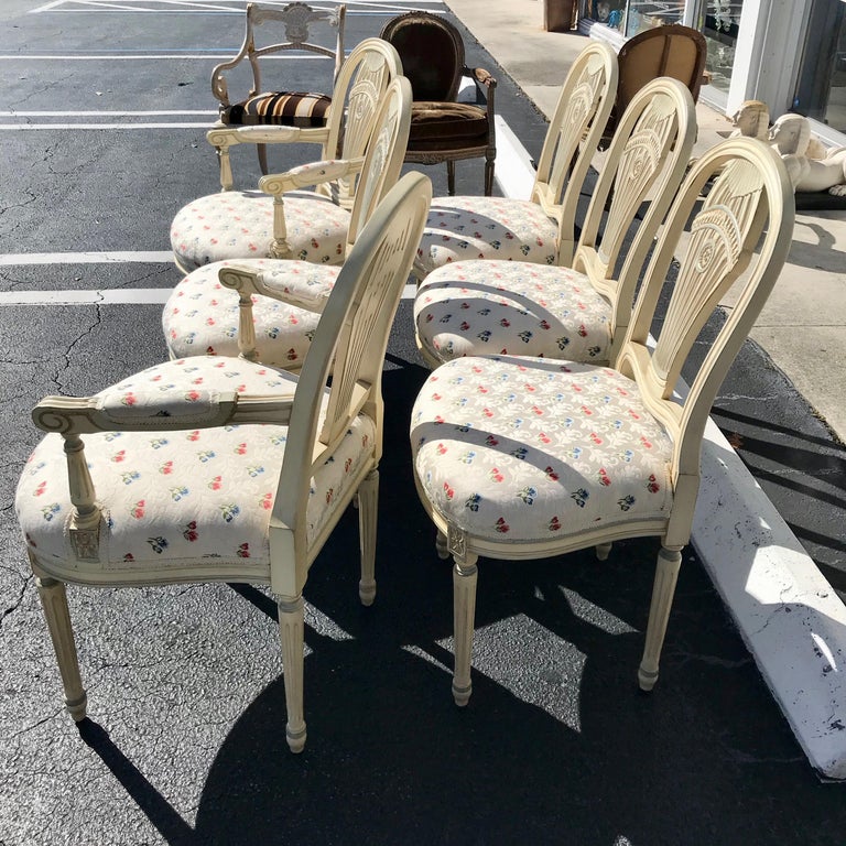 Set of 6 Continental Ballon Back Chairs at 1stDibs