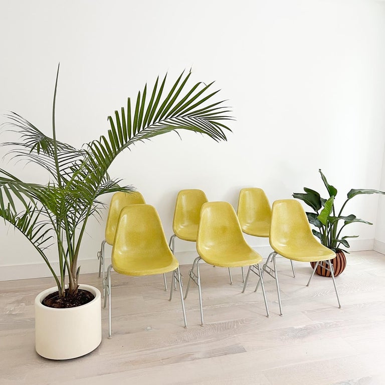 Set of 6 Eames for Herman Miller Yellow Shell Stacking Chairs at 1stDibs