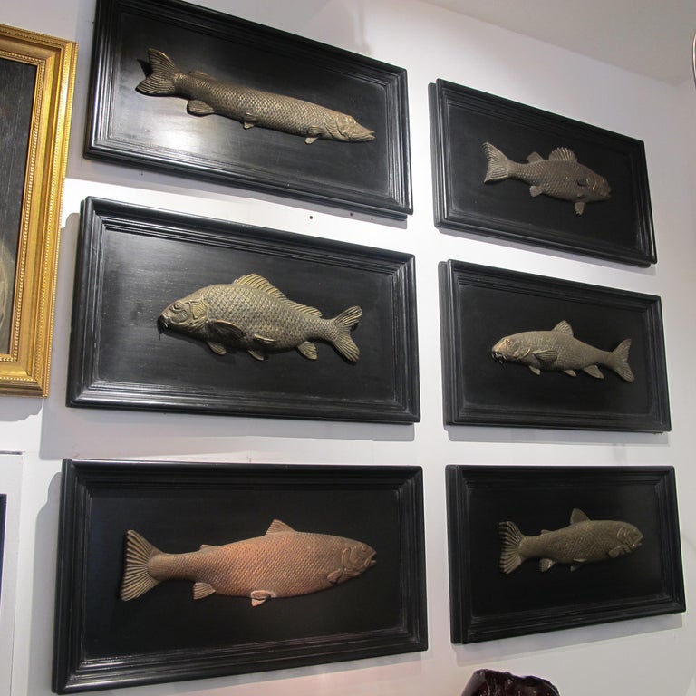 Set of 6 Early 20th Century Bronze Freshwater Fish Mounted on a Black ...
