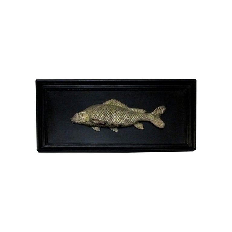 Set of 6 Early 20th Century Bronze Freshwater Fish Mounted on a Black ...
