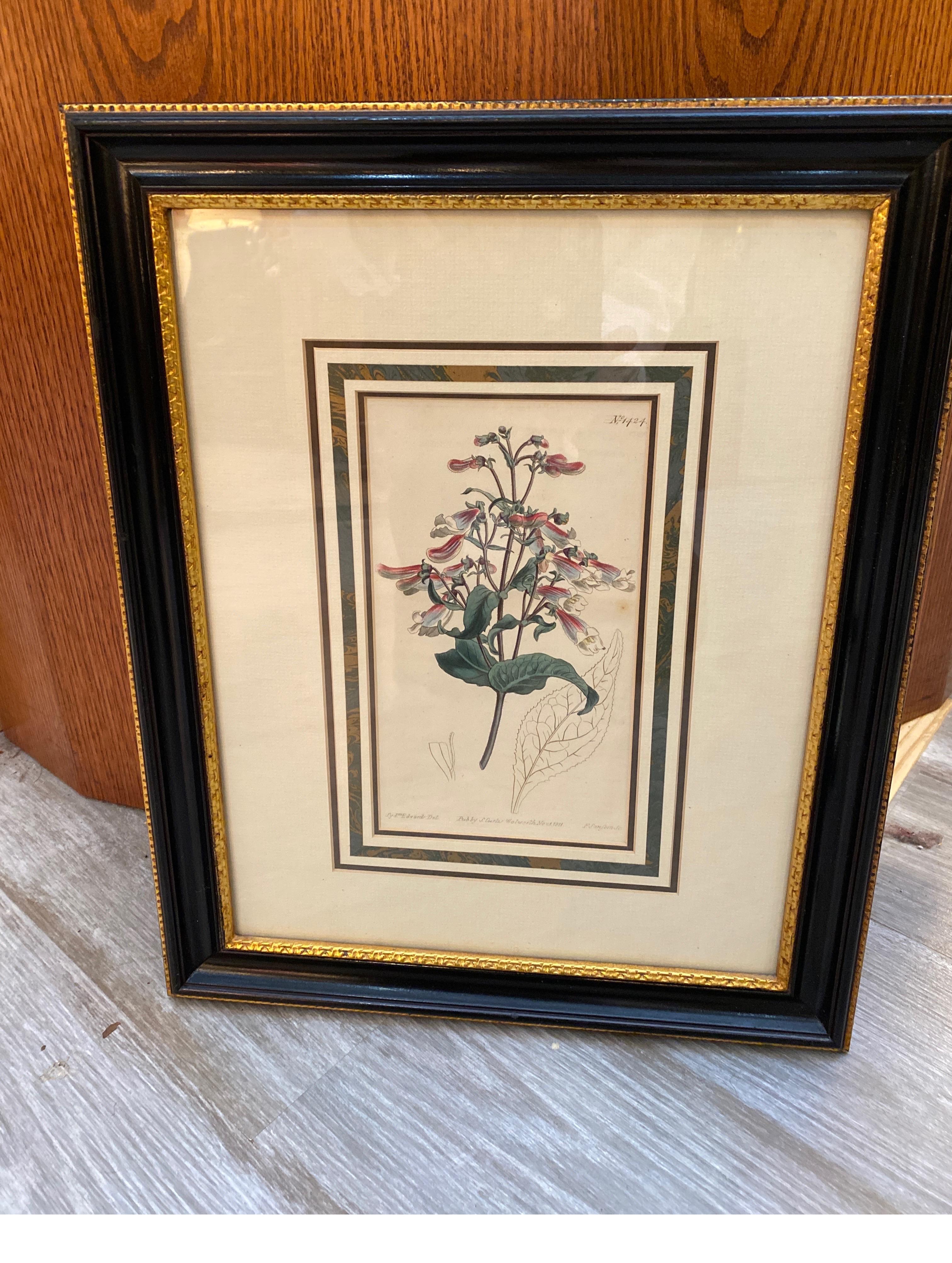 Set of 6 Framed Botanicals by J. Watts, London, 1810-20 For Sale at ...