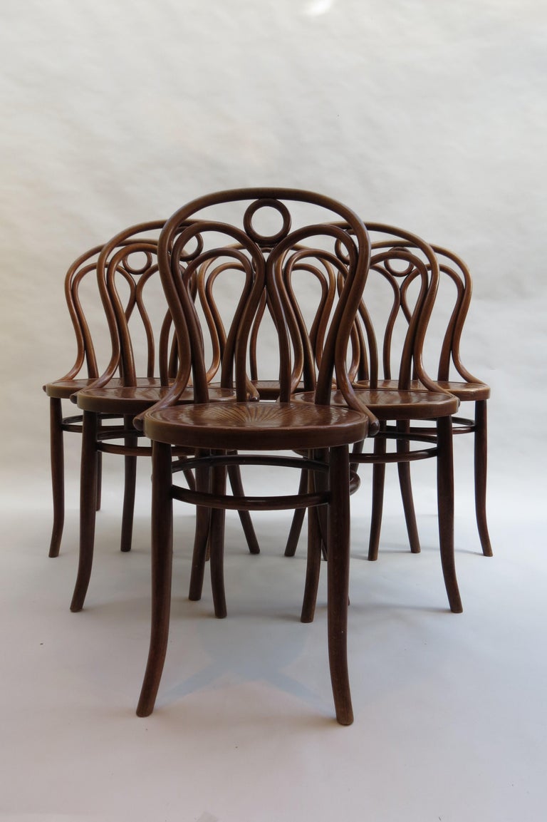 Set of 6 Jacob and Joseph Kohn, Austrian Dining Chairs No 36 at 1stDibs