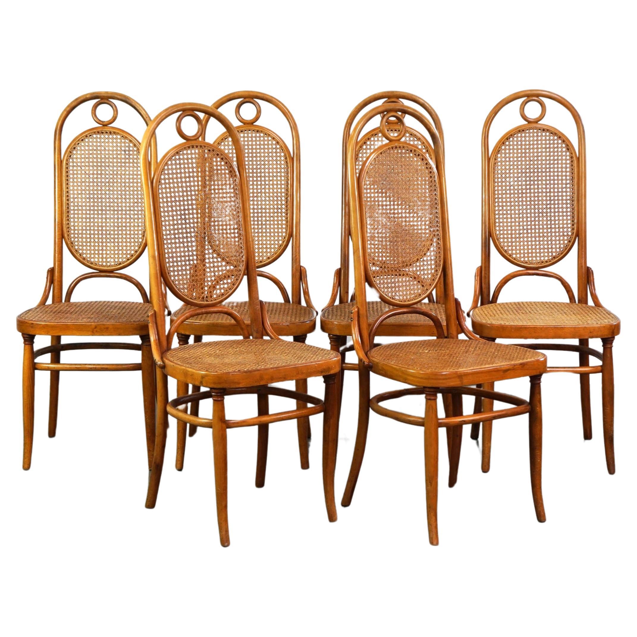 Set of 6 tall vintage light brown bentwood Thonet chairs, model “Long ...
