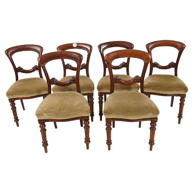 Set of 6 Victorian Carved Walnut Upholstered Dining Chairs, Scotland ...
