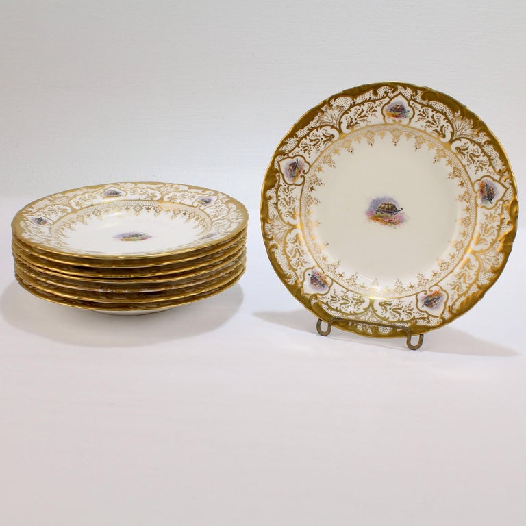 Set of 8 Antique Wedgwood Porcelain Terrapin or Turtle Soup Bowls at ...