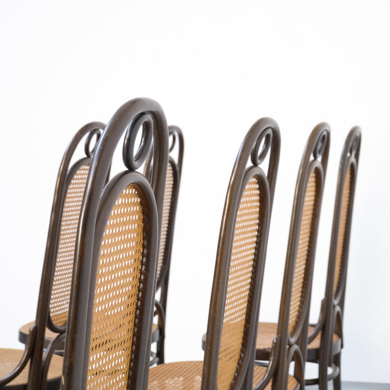 Set of 8 Bentwood Dining Chairs, Thonet Mod. 207R - Long John at 1stDibs