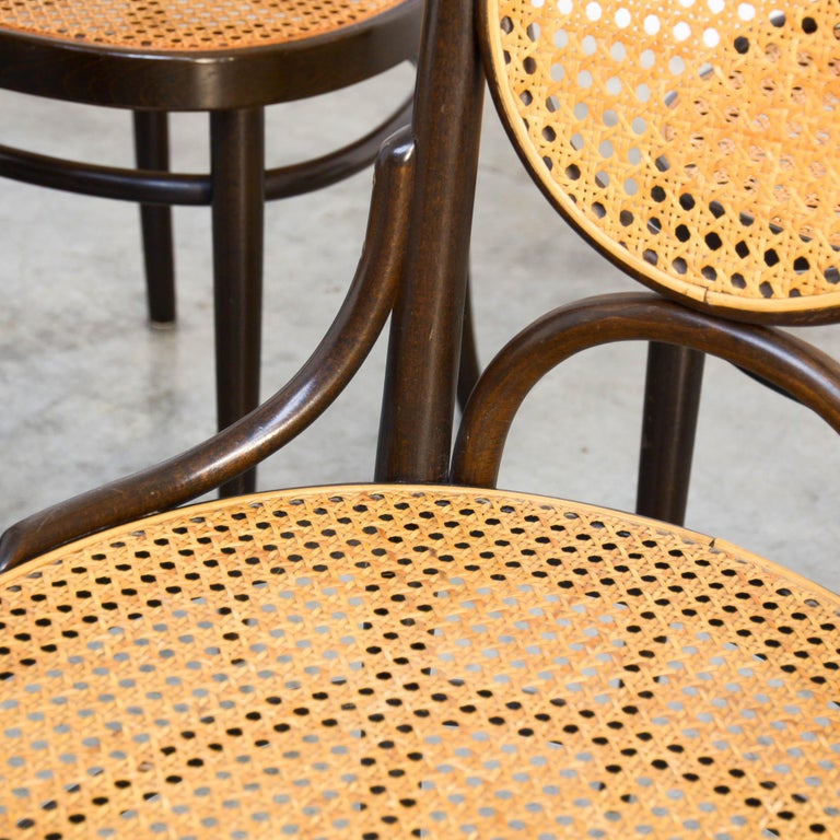 Set of 8 Bentwood Dining Chairs, Thonet Mod. 207R - Long John at ...