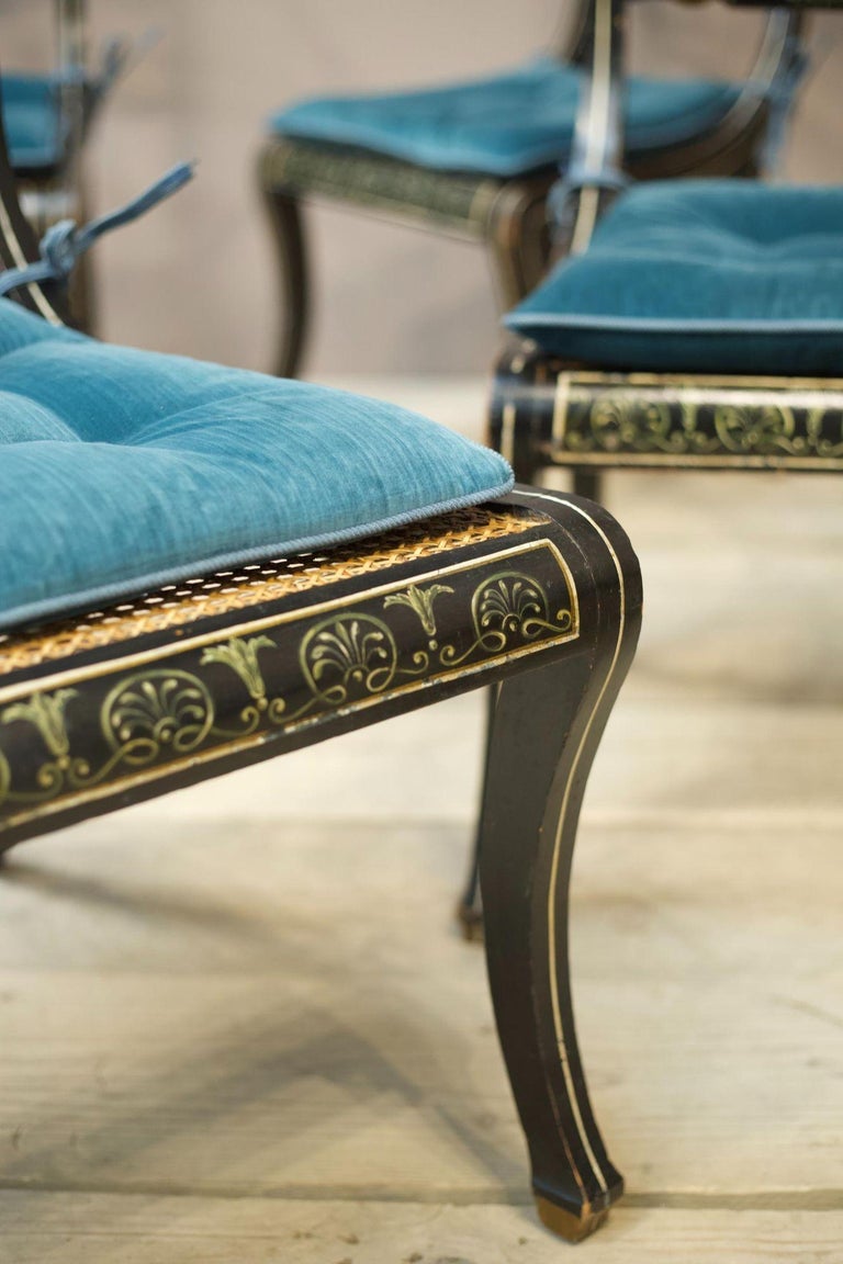 Set of 8 Georgian Regency Period Dining Chairs For Sale at 1stDibs