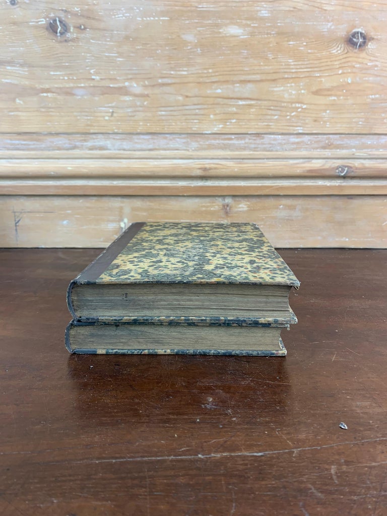 Set of Antique Bound Books Dating from the 19th Century, France For ...