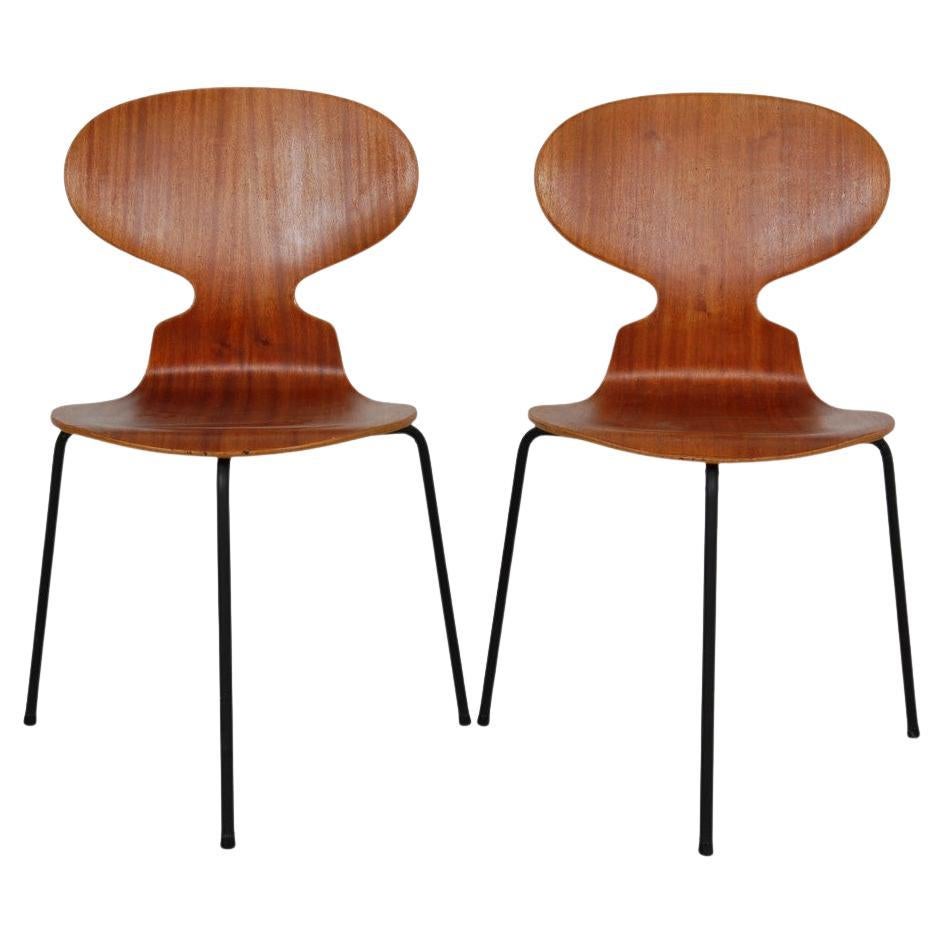 Set of Arne Jacobsen Ant Chairs in Teak '2' For Sale at 1stDibs