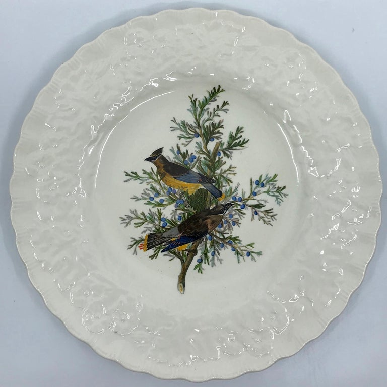 Set of Eight Audubon Bird Dinner Plates at 1stDibs