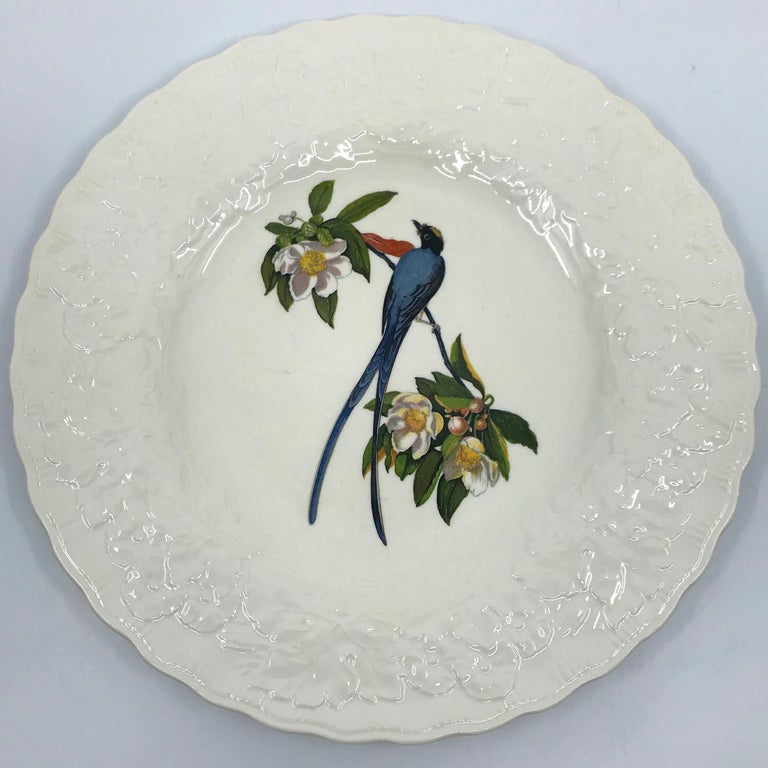 Set of Eight Audubon Bird Dinner Plates at 1stDibs