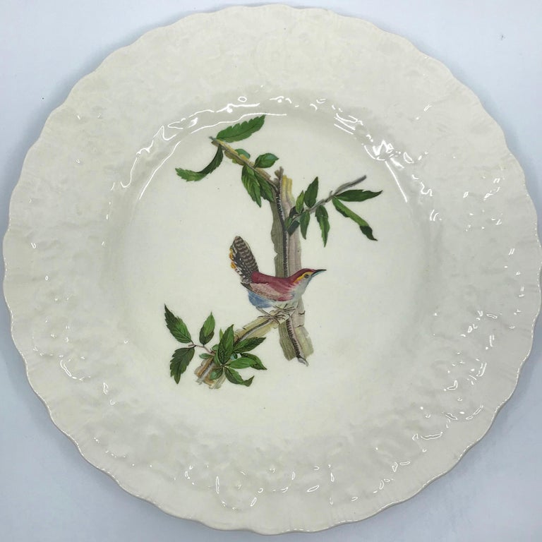 Set of Eight Audubon Bird Dinner Plates at 1stDibs