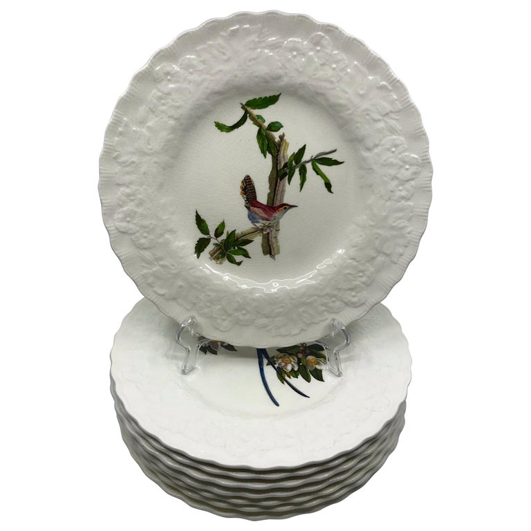 Set of Eight Audubon Bird Dinner Plates at 1stDibs