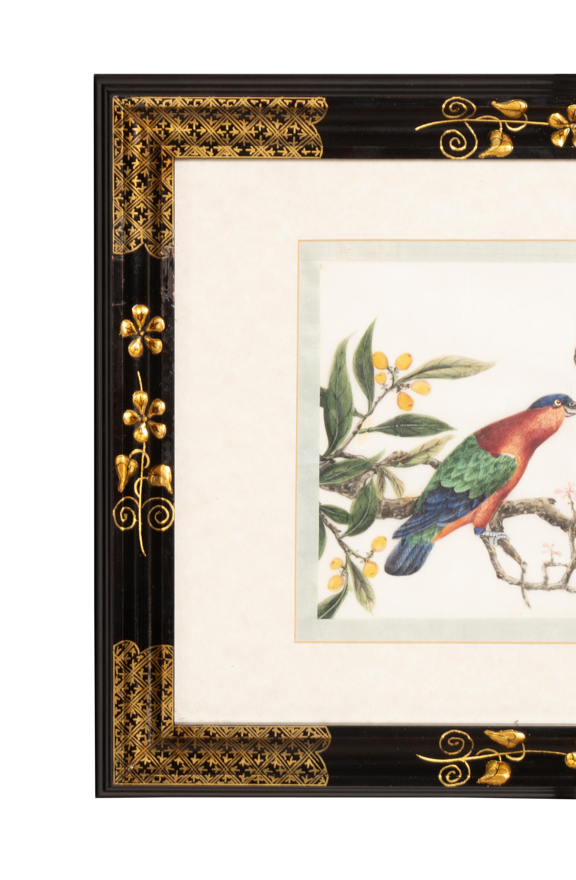 Set Of Eight Framed Chinese Export Pith Paper Watercolors Of Birds For ...