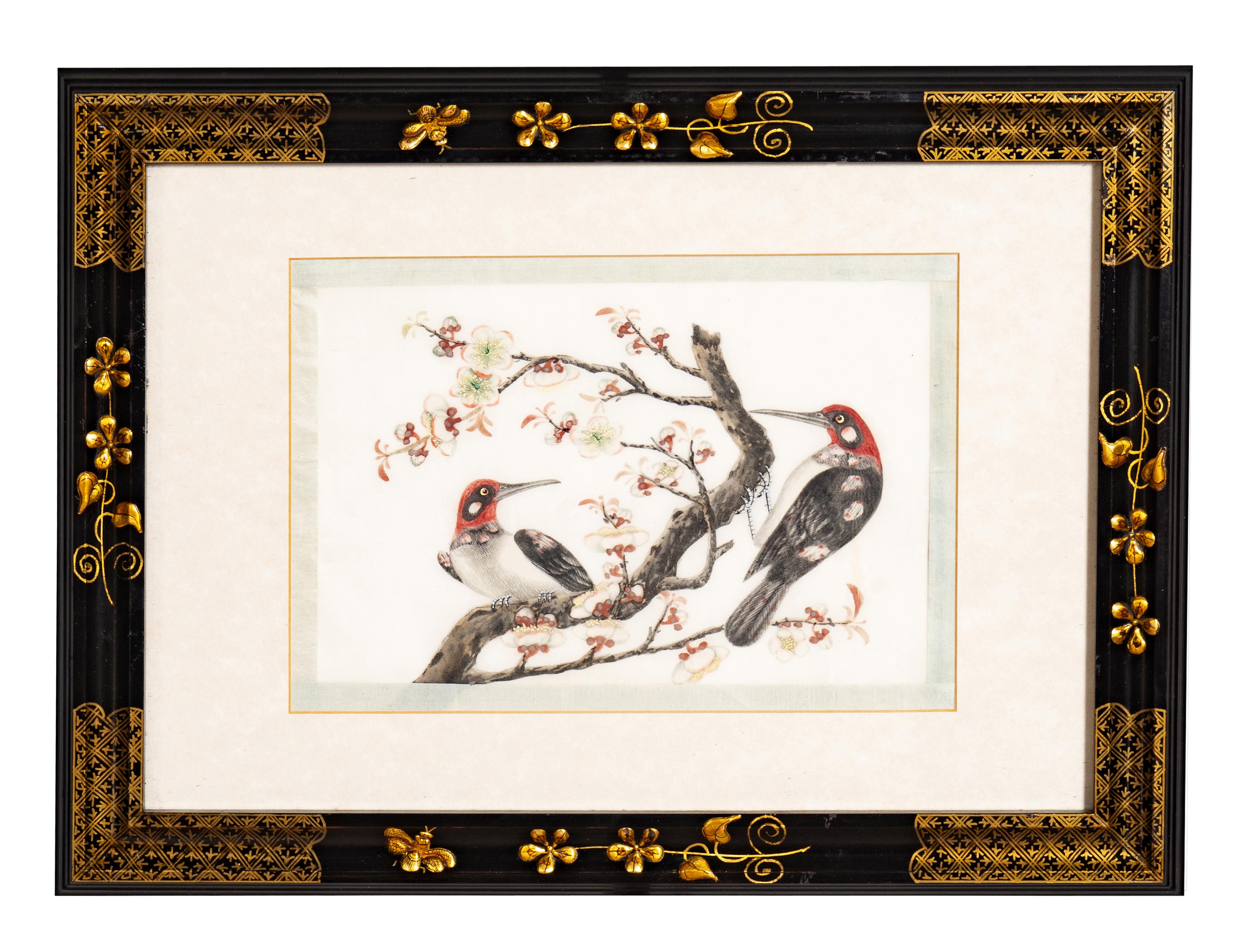 Set Of Eight Framed Chinese Export Pith Paper Watercolors Of Birds For ...